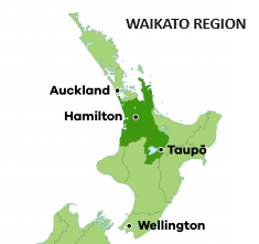 Waikato Matuku Muster | The Conservation Hub