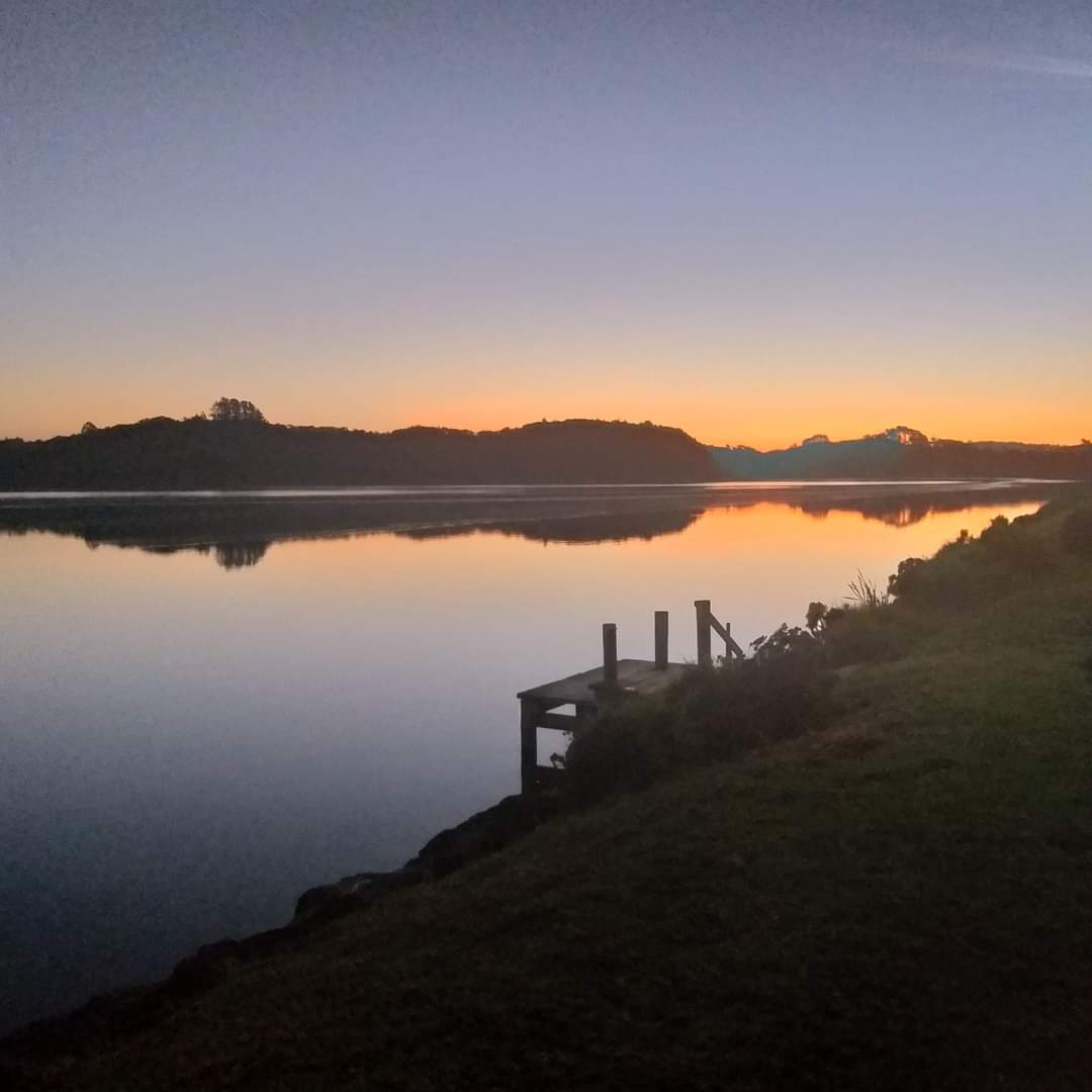 Ngunguru River Bittern & Wetlands Monitoring | The Conservation Hub